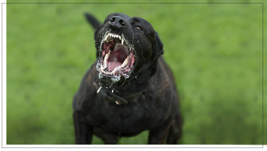 behavior_course_slider | Drive Unlimited